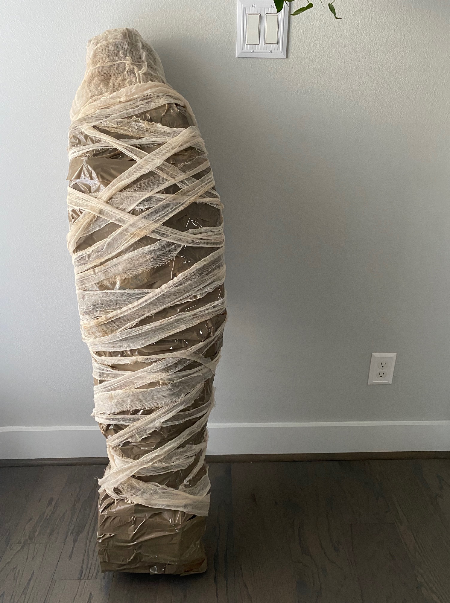 Spooooky Mummy – The Dupery